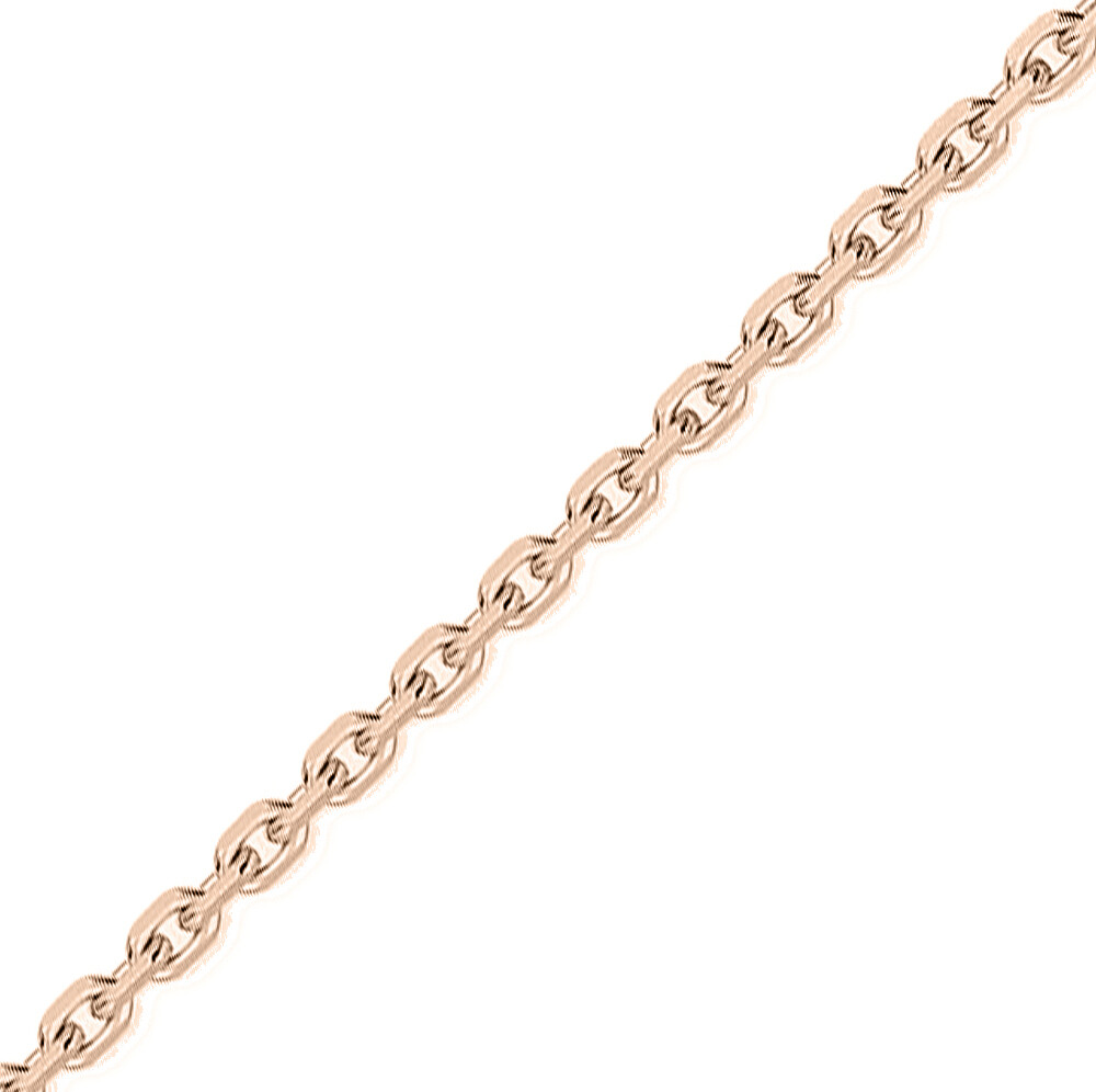 Chaine forçat rond - Or jaune 9ct - PremierCadeau